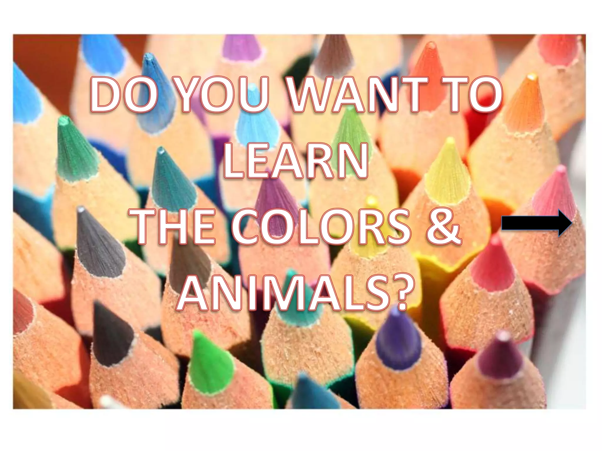 Colors & animals | PPTX