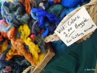 Colors from fiber fest | PPTX