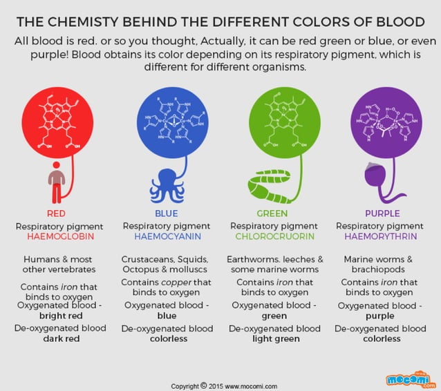 What Colour is Blood? - Mocomi Kids | PDF | Blood Disorders | Diseases ...