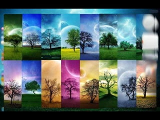 The Color Of Nature | PPSX