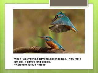 Colors only god could create | PPT