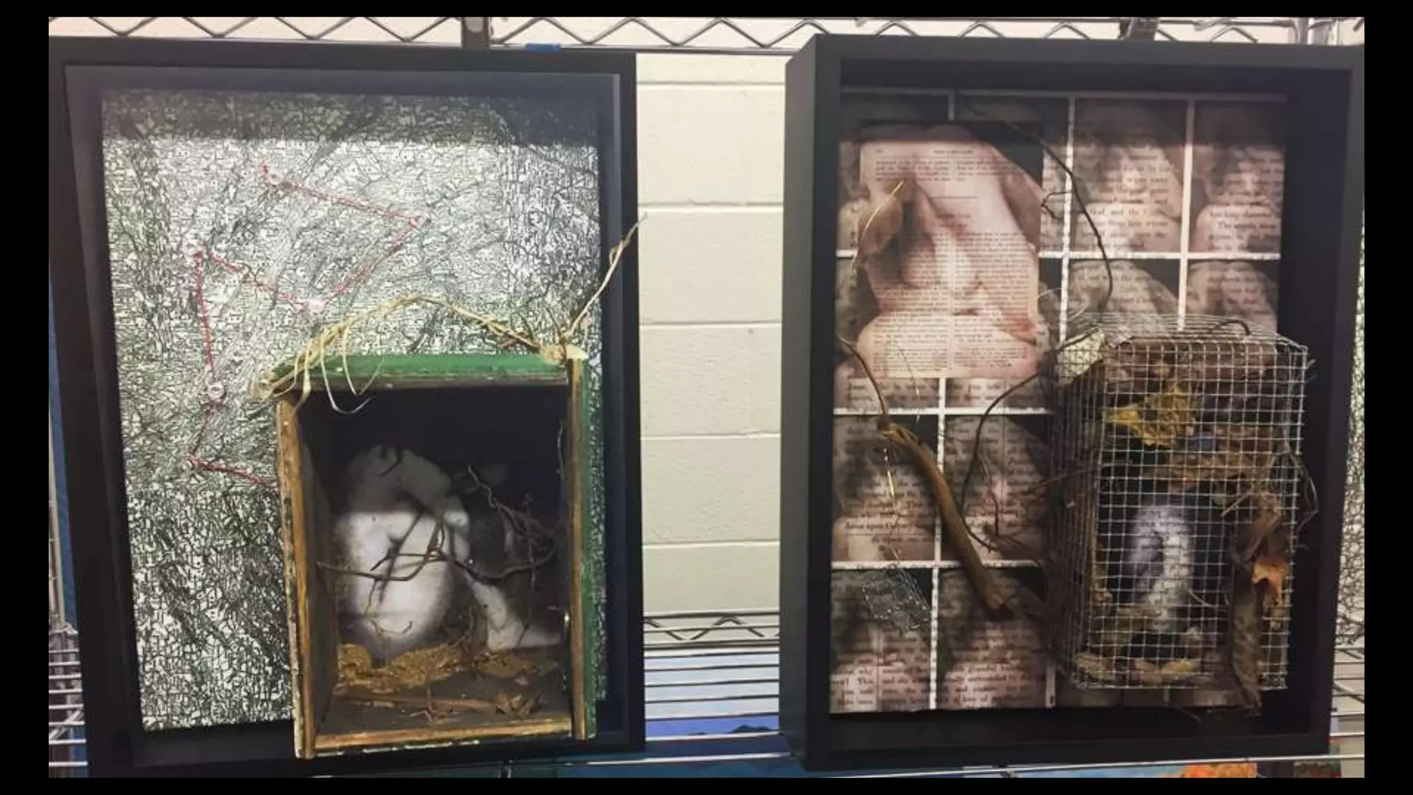 Final Crit - Color That Sings - Pattern That Moves | PPT