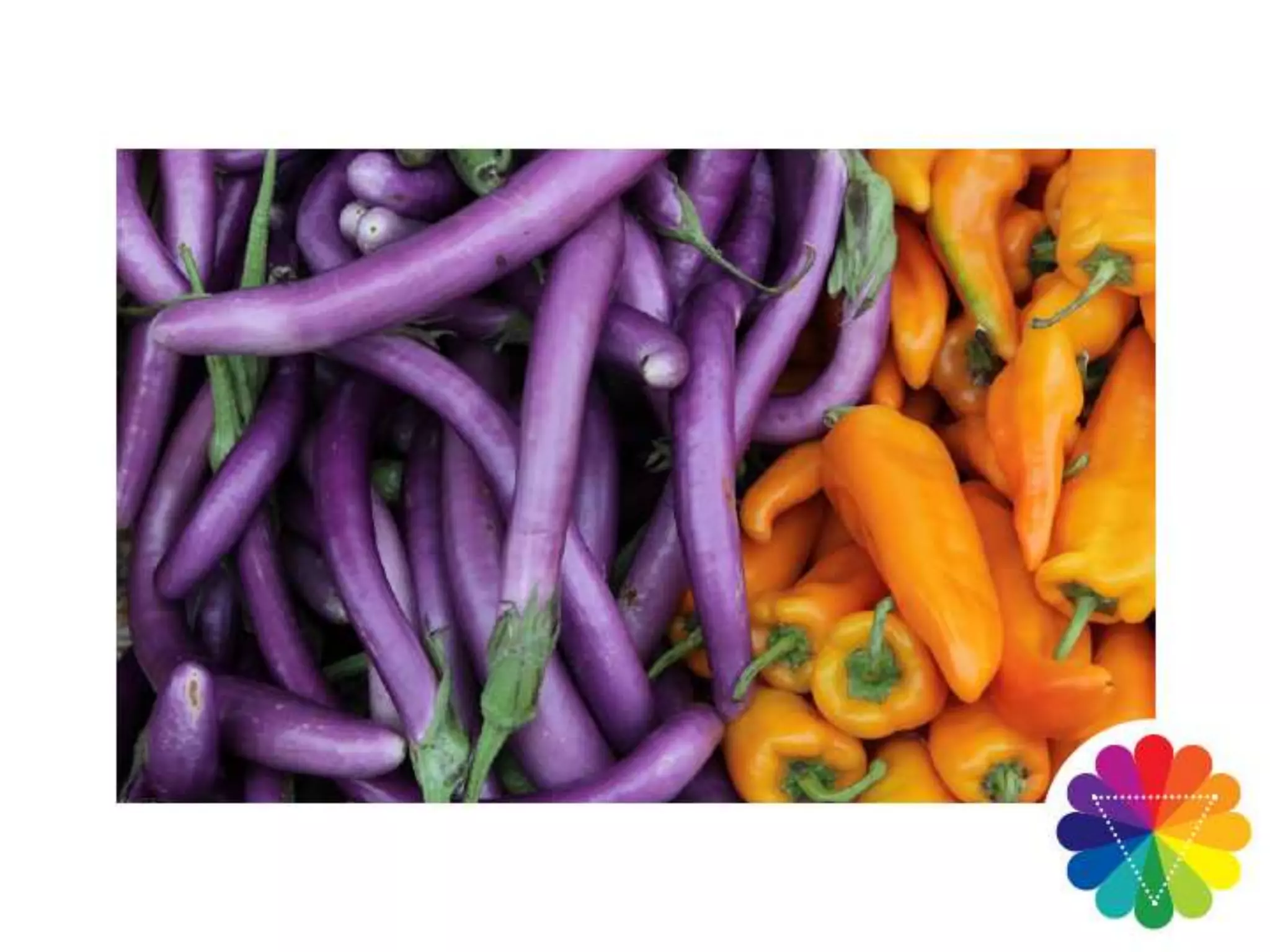 Color theory 101 | PPT