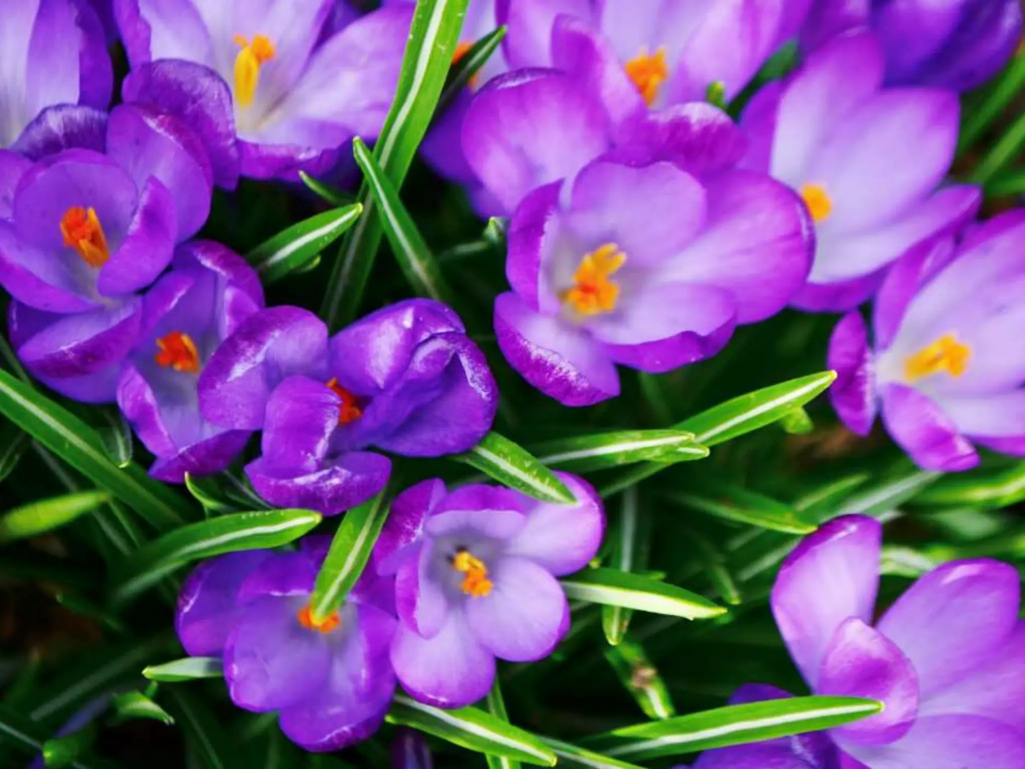 Color theory 101 | PPT