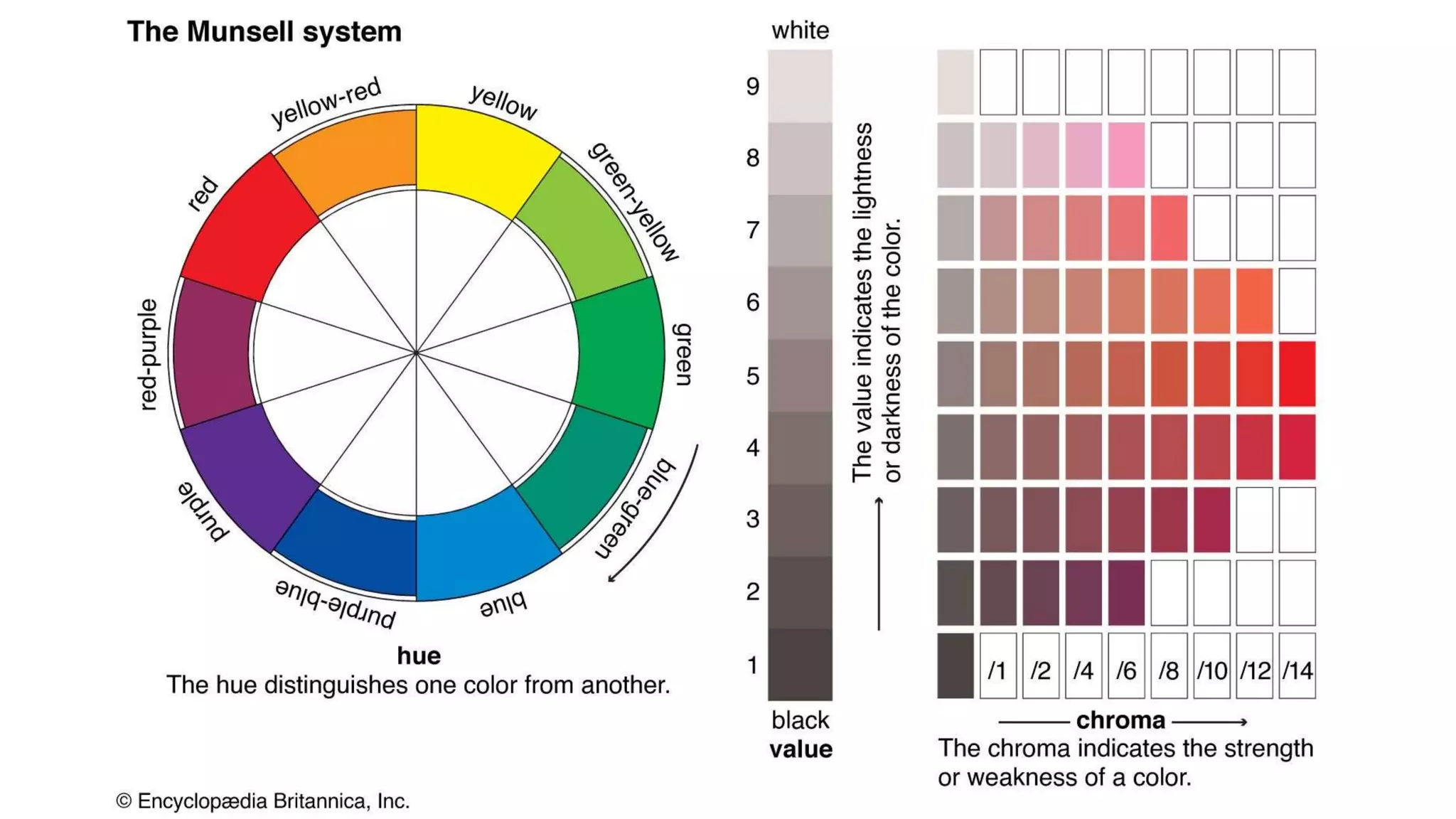 Color Theory Basics.pptx