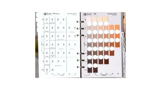 Color Theory Basics.pptx