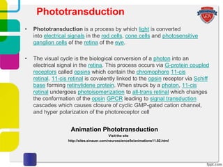 Color theory part 2 | PPTX