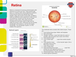 Color theory part 2 | PPTX
