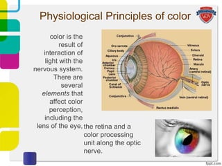 Color theory part 2 | PPTX