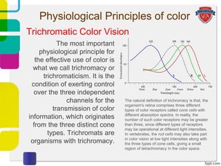 Color theory part 2 | PPTX