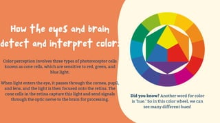 The Psychology Of Color Theory Presentation.pdf