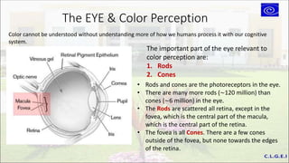 Color theory . | PPTX