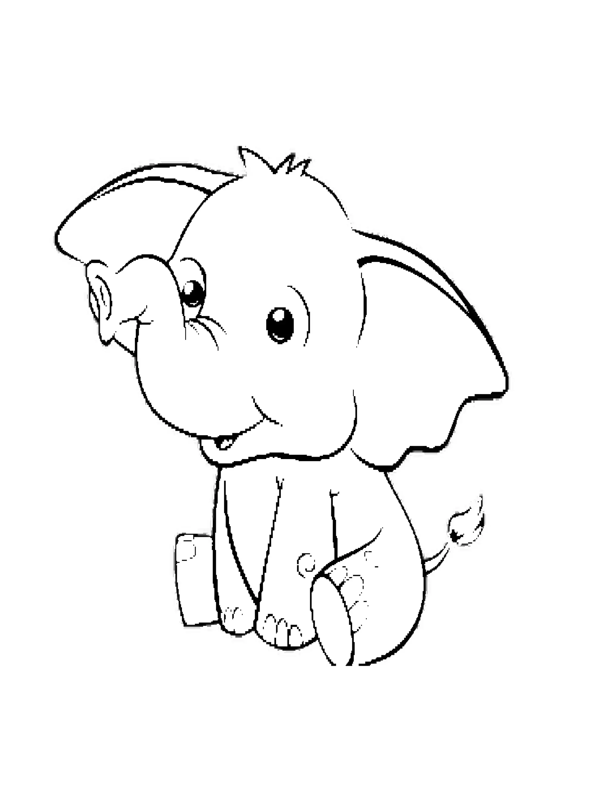 color these cute animals.pdf