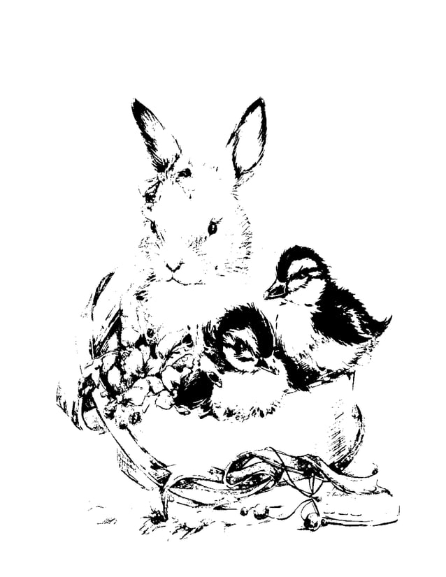 color these cute animals.pdf