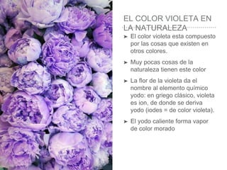 Color violeta | PPTX