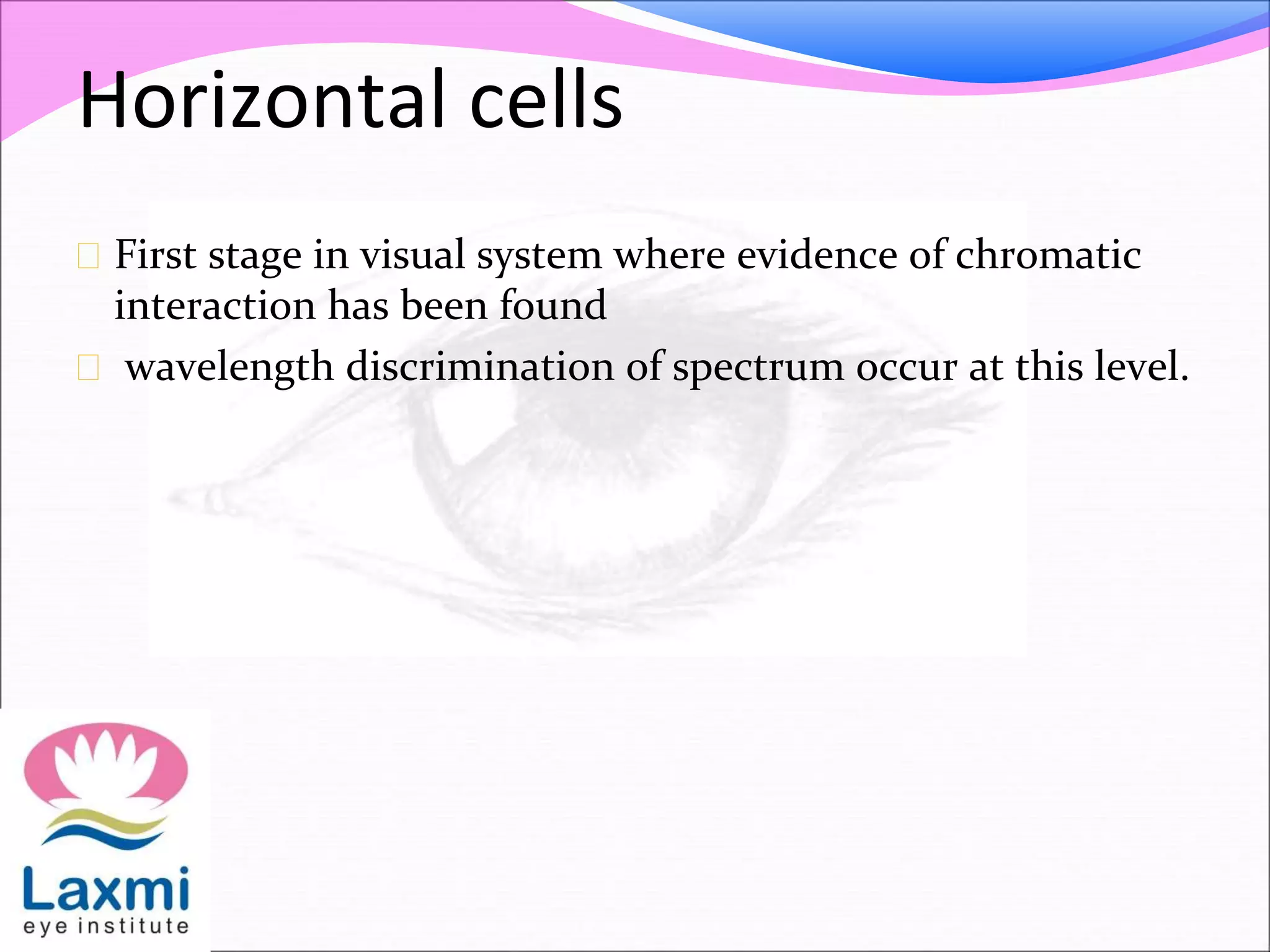 Colour vision and its clinical aspects | PPTX
