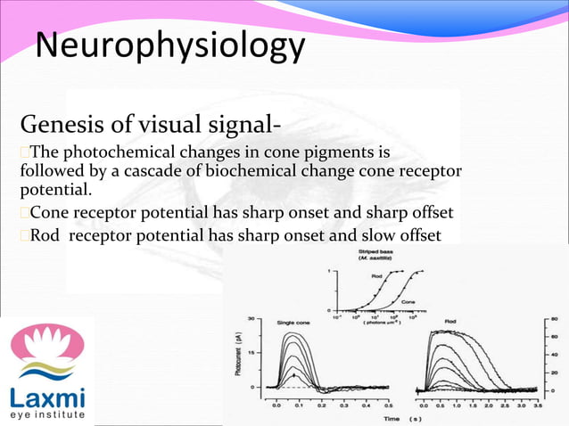 Colour vision and its clinical aspects | PPTX