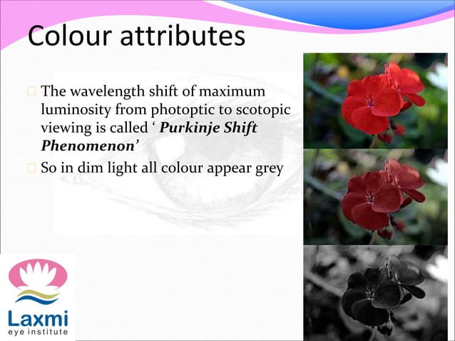 Colour vision and its clinical aspects | PPTX