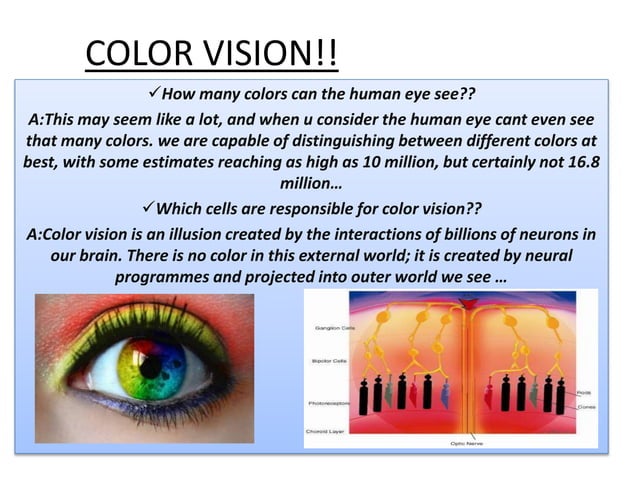 Color vision and its anomalies | PPT | Free Download