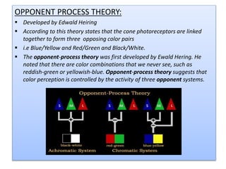 Color vision and its anomalies | PPTX