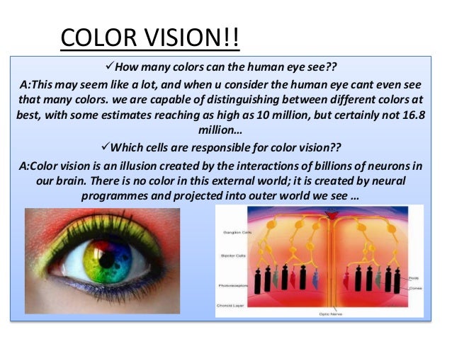 Color vision and its anomalies