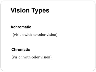 Color vision definition classification abnormalities and tests | PPT