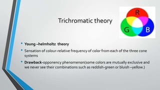 Color vision - concepts | PPTX