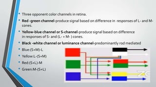 Color vision - concepts | PPTX