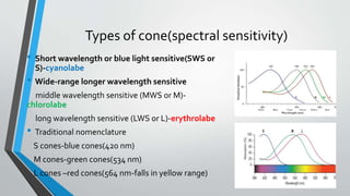 Color vision - concepts | PPTX