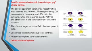 Color vision - concepts | PPTX