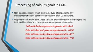 Color vision - concepts | PPTX