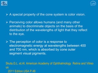 Color Vision.pptx
