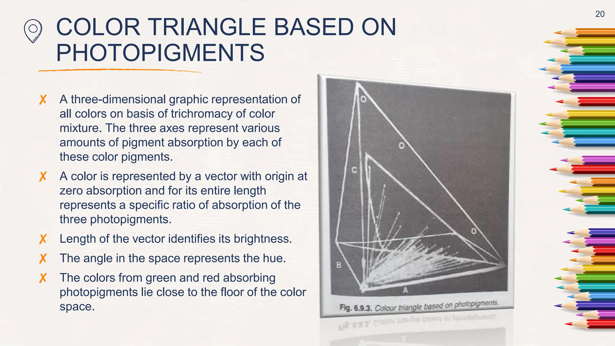 Color vison, Color Blindness and its Evaluation | PPTX