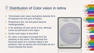 Color vison, Color Blindness and its Evaluation | PPT