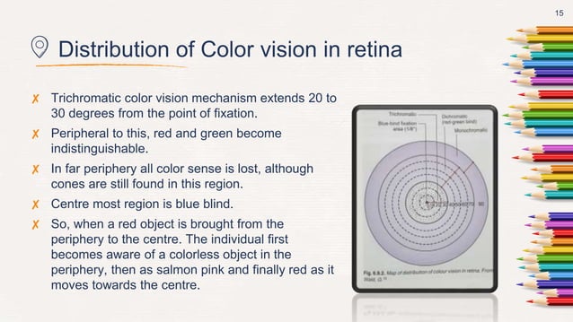 Color vison, Color Blindness and its Evaluation | PPT