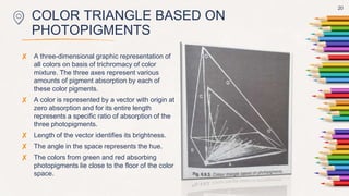 Color vison, Color Blindness and its Evaluation | PPTX