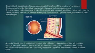 Color Vision..pptx mesicine surgey clinical | PPTX
