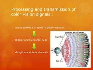 Color vision | PPTX