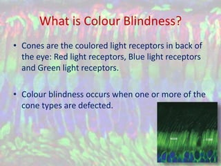 Color Vision Deficiency and Ishihara's Test | PPSX