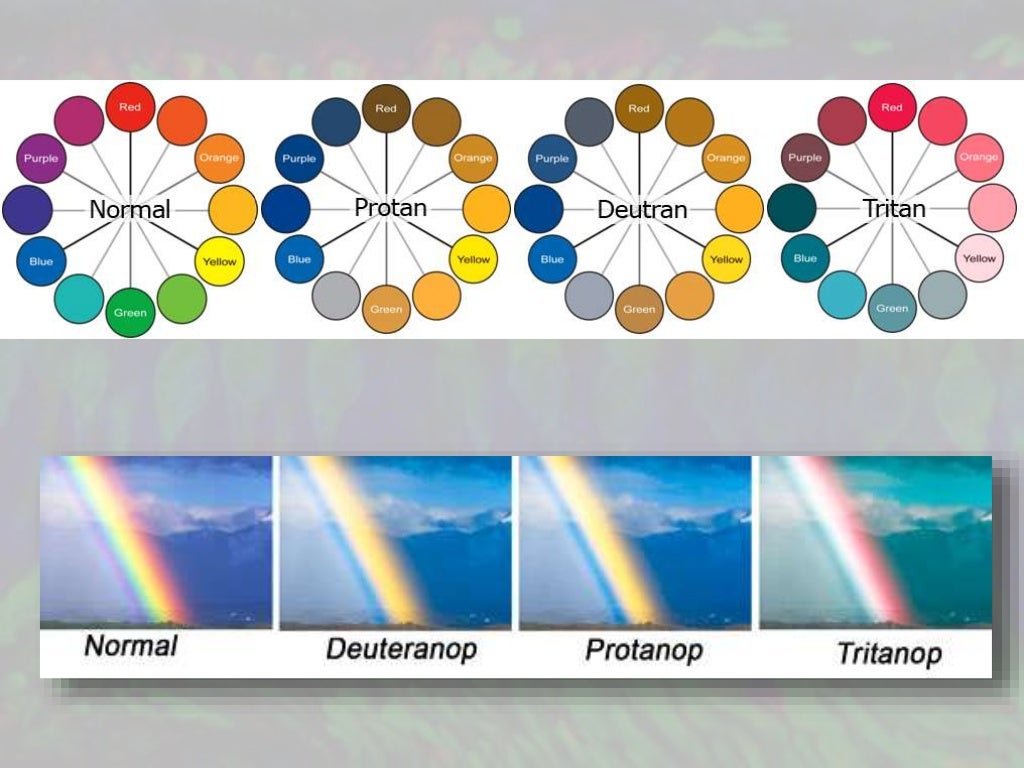 Color Vision Deficiency And Ishihara s Test color-vision-deficiency-and-ishihara-s-test