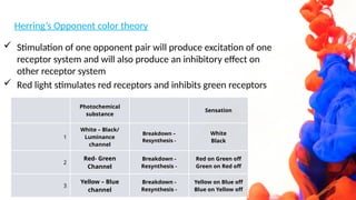 COLOR VISION AND IT'S ABNORMALITIES OPHTHALMOLOGY | PPTX