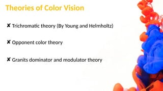 COLOR VISION AND IT'S ABNORMALITIES OPHTHALMOLOGY | PPTX