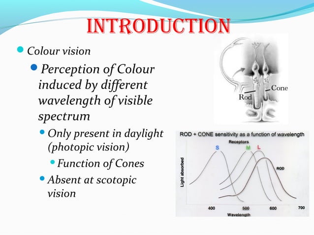 Color vision and physiological processes | PPT | Eye and Vision ...