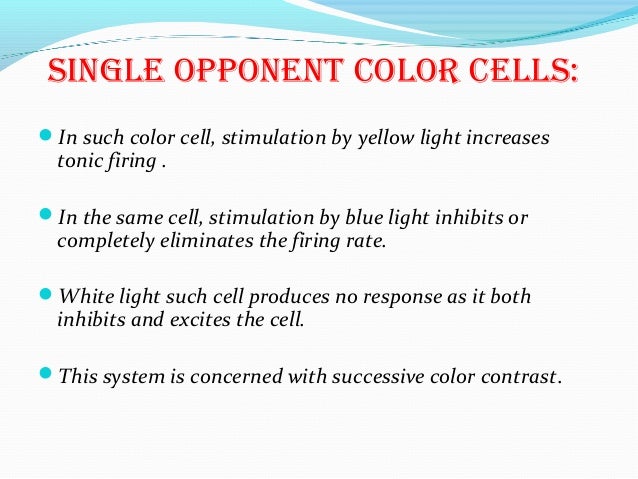 Color vision and physiological processes