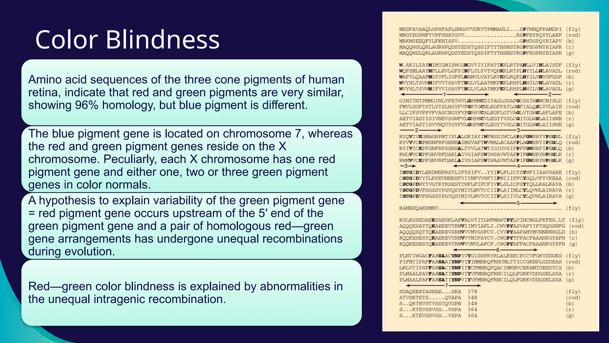 color vision congenital and stationary retinal | PPTX