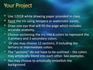 Color Wheel Eyes | PPTX