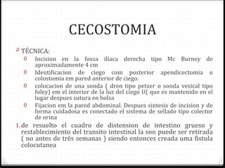 Colostomias | PPT