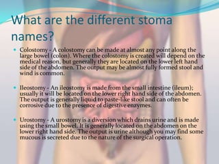Colostomies project | PPTX