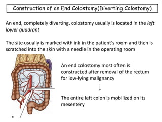 Colostomy -Large intestine | PPTX