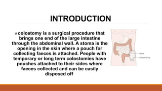 colostomy.pptx management anf care of patient | PPT